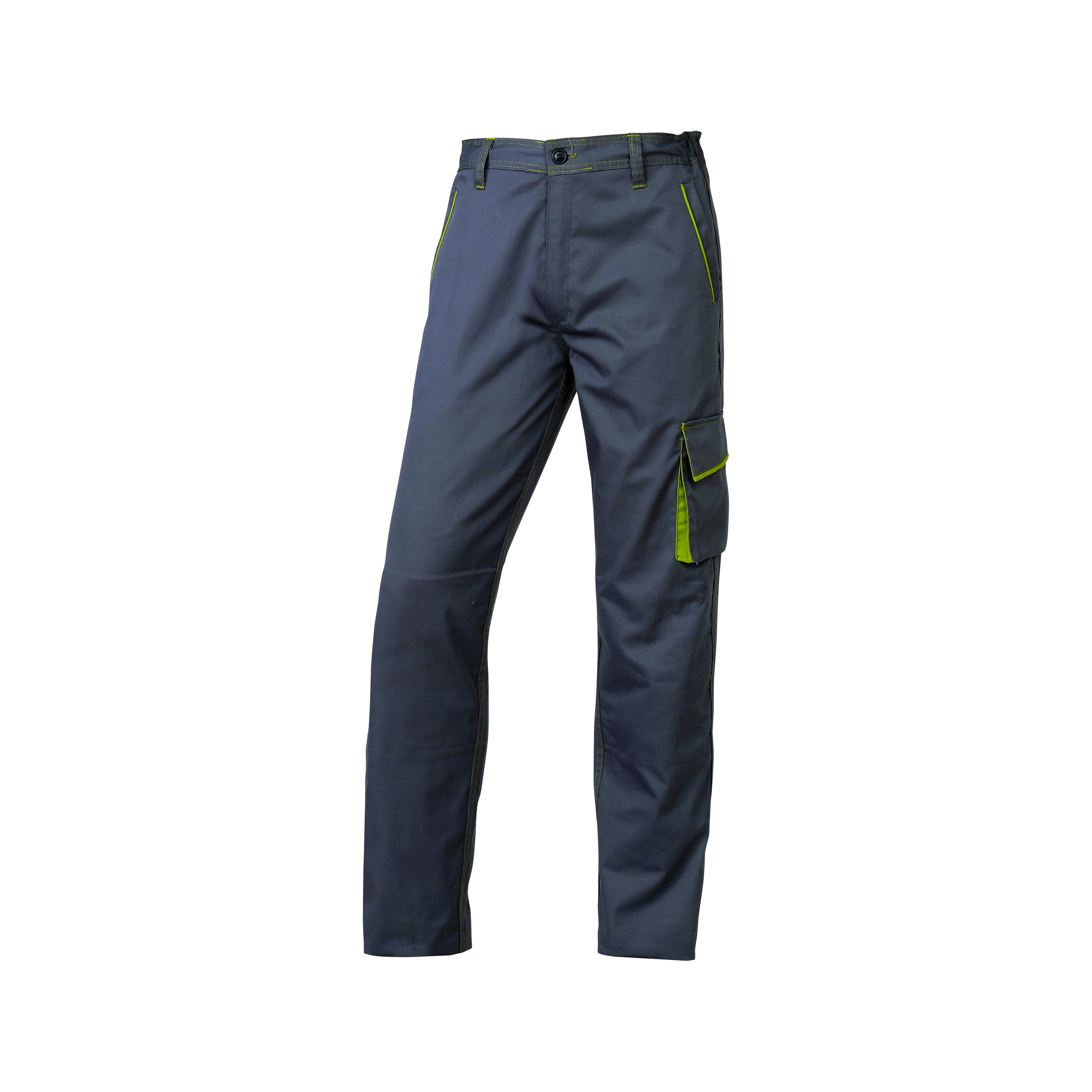 PANTALON PANOSTYLE GRIS/OR